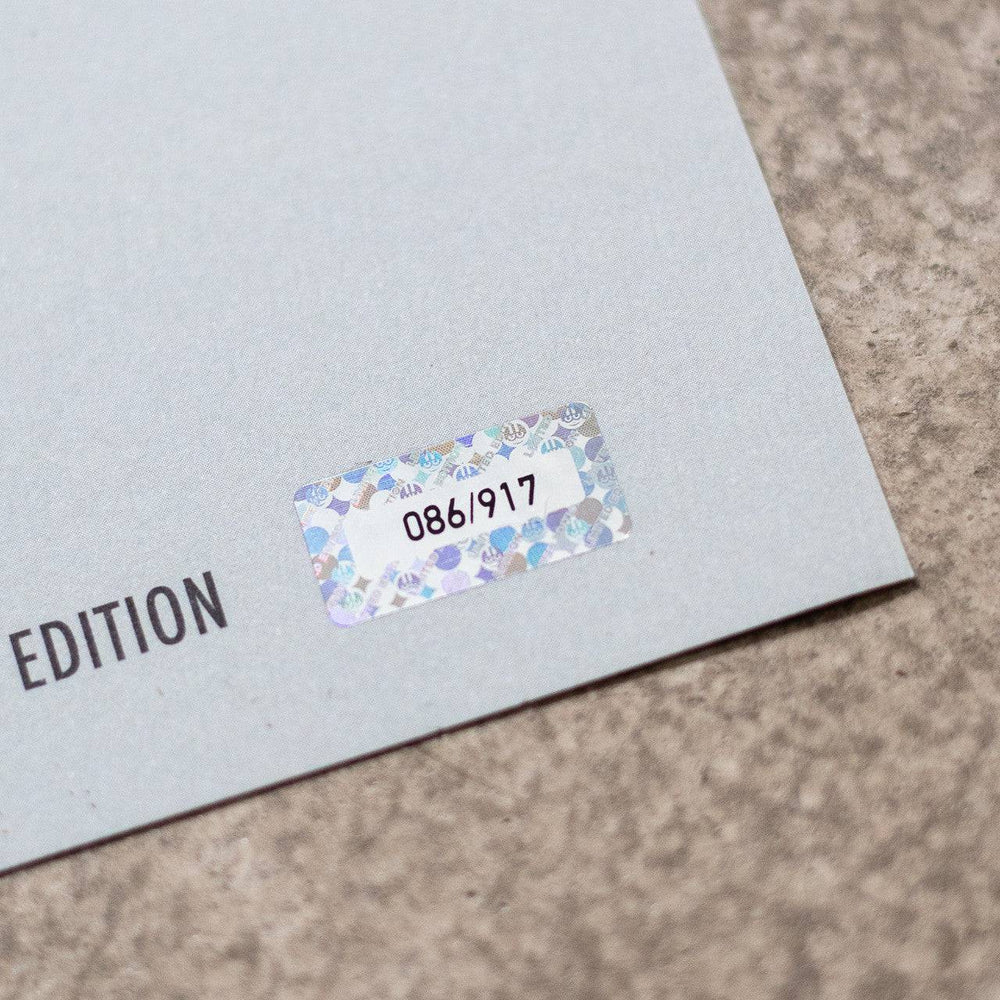 Porsche 917 KH | 1970 Past | Collector's Edition 24h Le Mans Poster | Automobilist