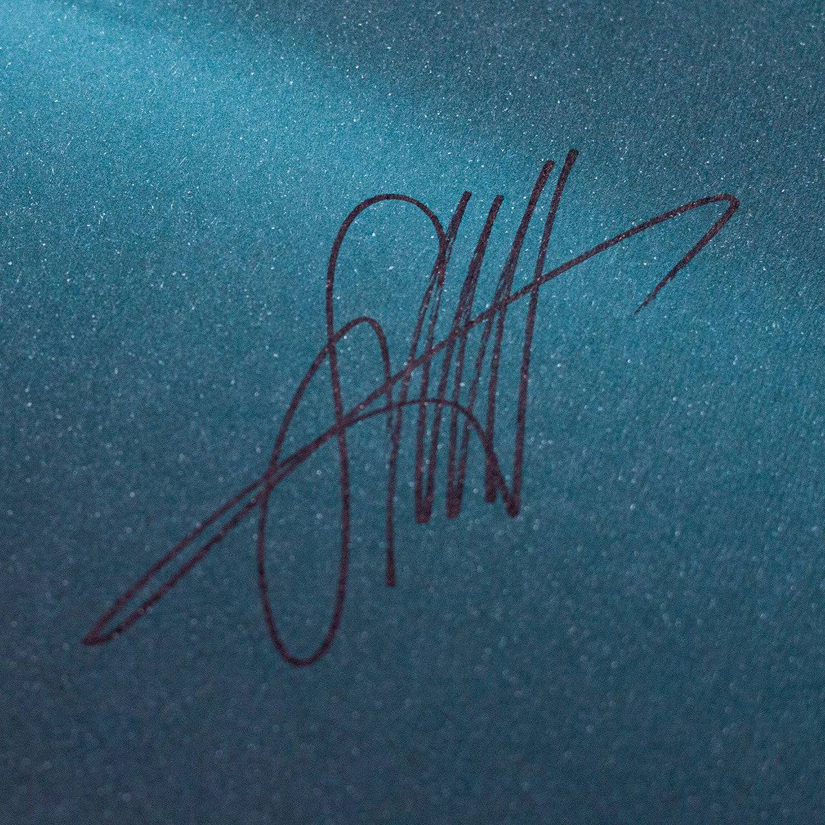 Signed by Sebastian Vettel - Aston Martin Aramco Cognizant Formula One ...