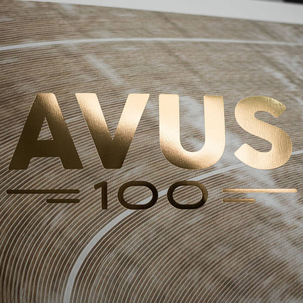 Avus | 100th Anniversary 24 September 2021 | Collector’s Edition Poster ...